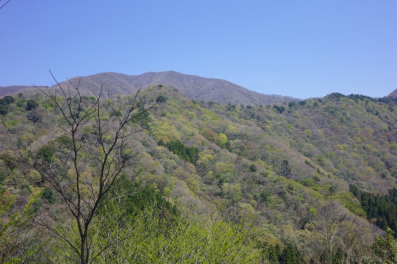 富士写ヶ岳・火燈山