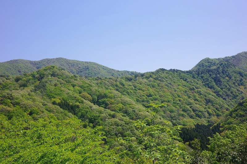 富士写ヶ岳・火燈山